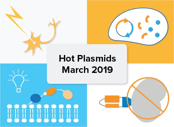 Hot Plasmids - March 2019 - Anti-CRISPR, 2in1 Cloning, Fluorescent Voltage Indicators, and ...